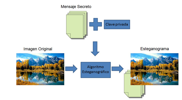 ¿Que es la Esteganografía? :: Indigitoz